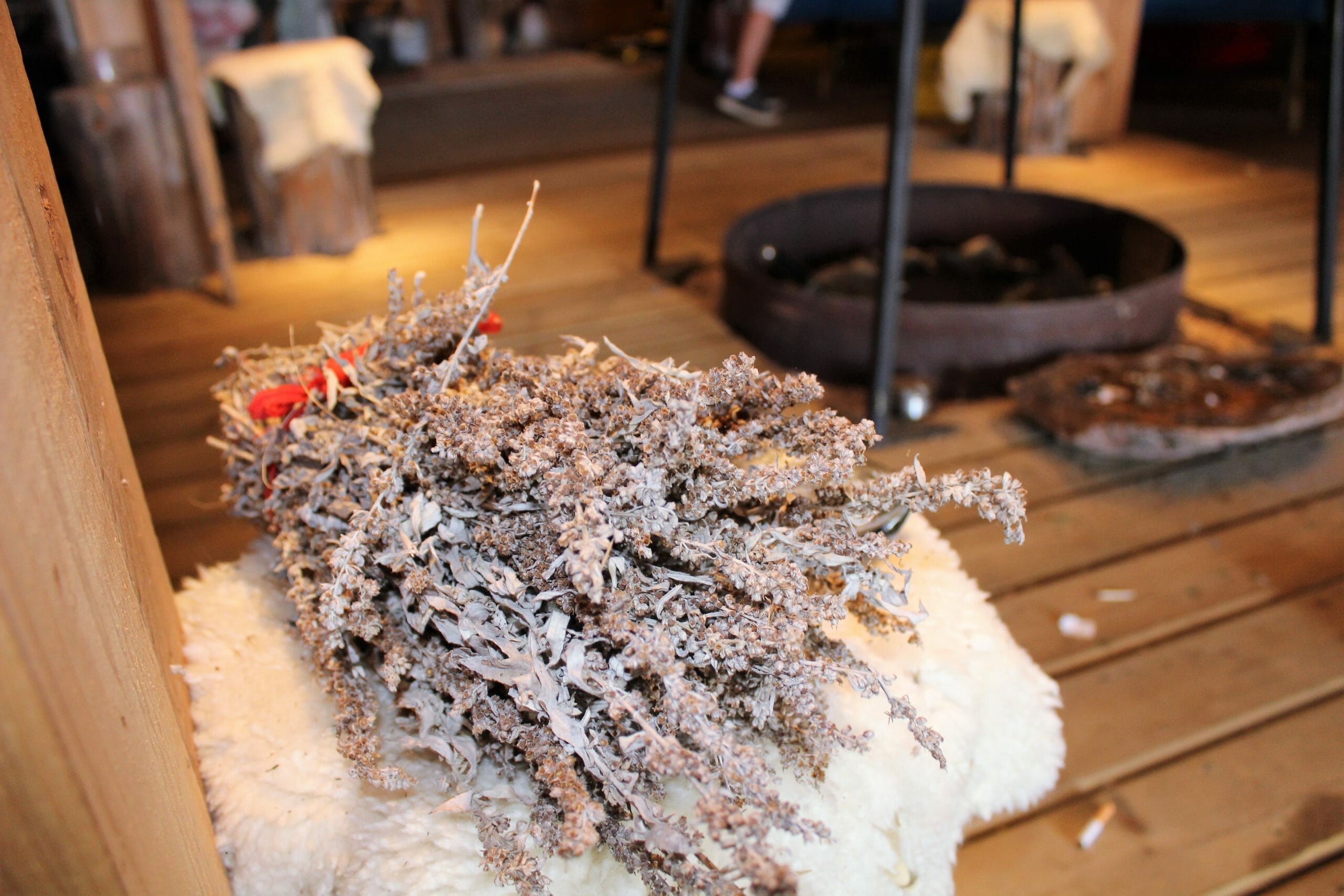 Traditional Healers Program - Southern Chiefs' Organization Inc.